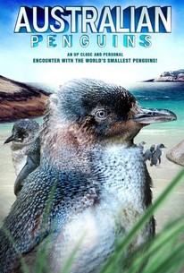 Australian Penguins | Rotten Tomatoes