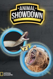 Animal Showdown | Rotten Tomatoes