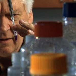 Hamilton Smith - Rotten Tomatoes