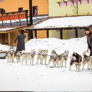 The Great Alaskan Race - Rotten Tomatoes