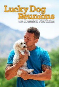 Lucky Dog: Reunions | Rotten Tomatoes