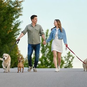 The More Love Grows - Rotten Tomatoes