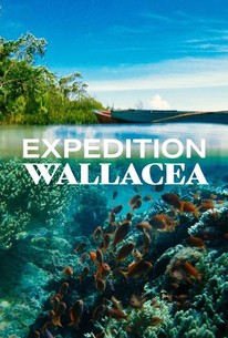 Expedition Wallacea | Rotten Tomatoes