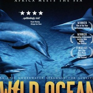 Wild Ocean - Rotten Tomatoes