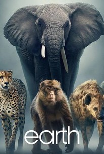 BBC Earth - Rotten Tomatoes