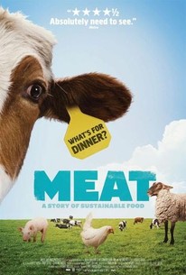Meat | Reviews | Rotten Tomatoes