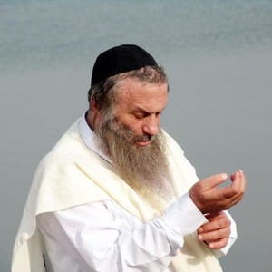 Assi Dayan - Rotten Tomatoes