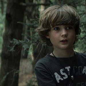 The Wretched - Rotten Tomatoes