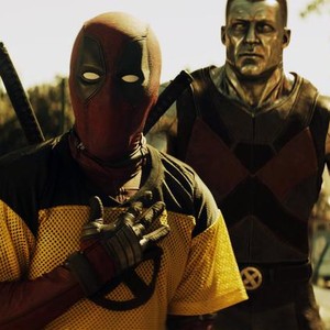 Stefan Kapicic - Rotten Tomatoes