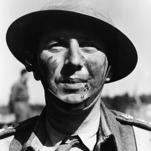 Robert Coote - Rotten Tomatoes