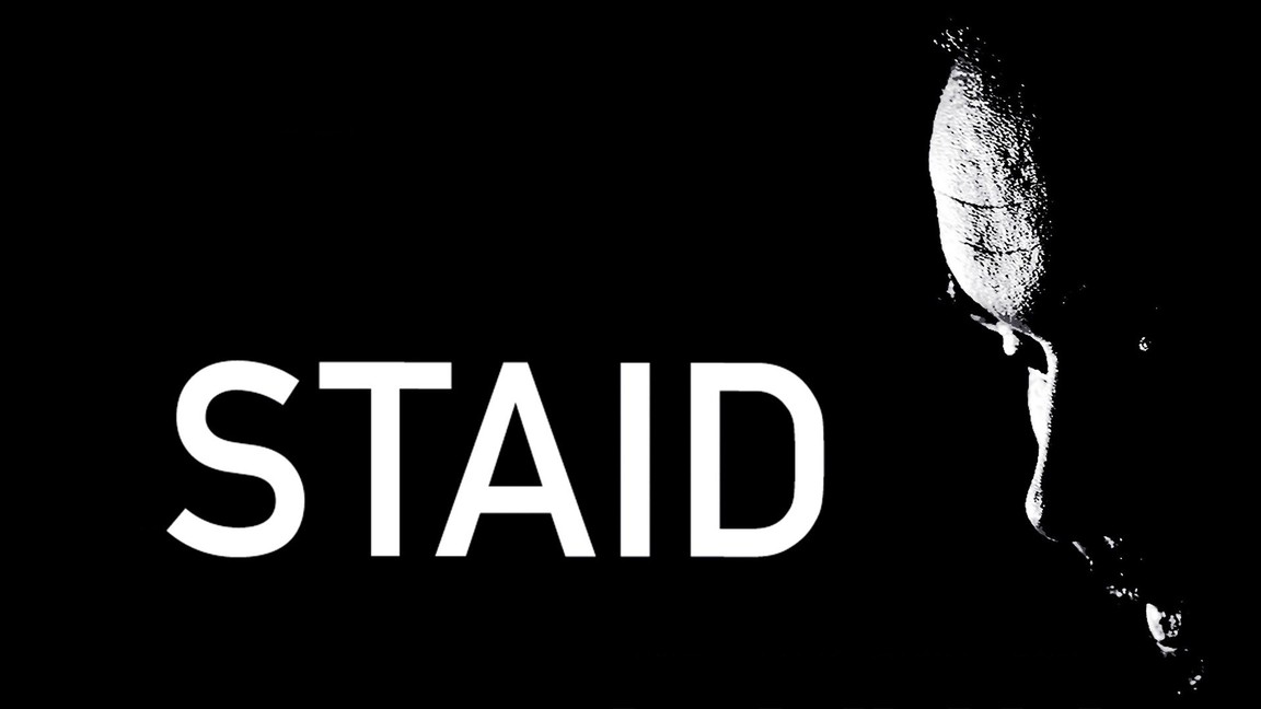 Staid Definition