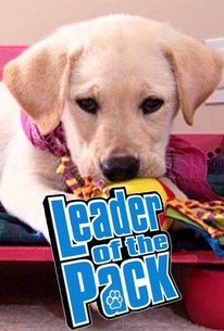 Leader of the Pack | Rotten Tomatoes
