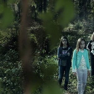Terror in the Woods (2018) - Rotten Tomatoes