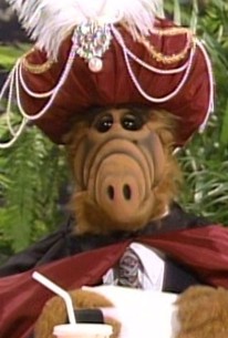 ALF: Season 3, Episode 4 | Rotten Tomatoes