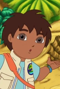 Go, Diego, Go!: Season 1, Episode 8 | Rotten Tomatoes