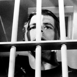 Tom Laughlin - Rotten Tomatoes