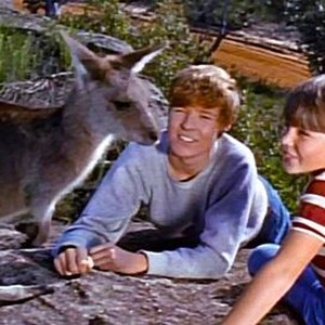 Skippy - Rotten Tomatoes