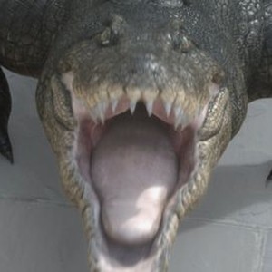 Croc! - Rotten Tomatoes