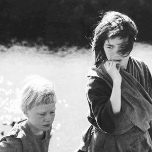 Lord Of The Flies Mulberry Birthmark Boy