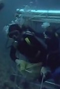 Riptide: Season 2, Episode 21 | Rotten Tomatoes