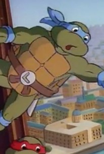 Teenage Mutant Ninja Turtles: Season 7, Episode 1 | Rotten Tomatoes