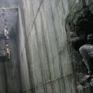 The Host - Rotten Tomatoes