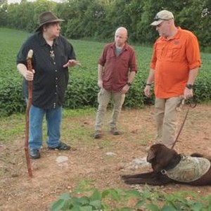 John Ceallach - Rotten Tomatoes