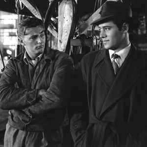 Paul Valentine - Rotten Tomatoes