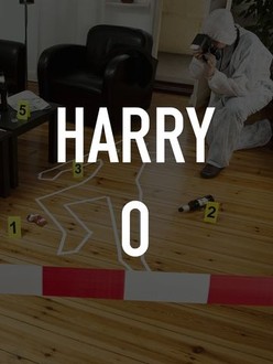 harry 20 1