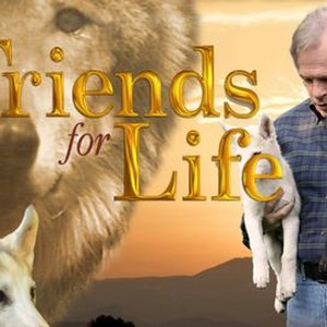 Friends for Life - Rotten Tomatoes