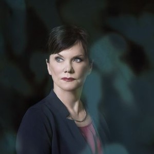 The Deadly Type With Candice DeLong - Rotten Tomatoes