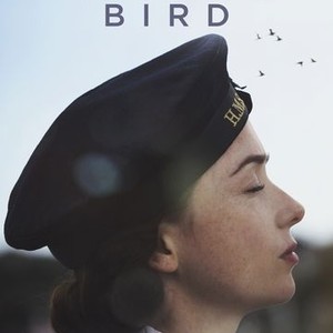 Little Bird - Rotten Tomatoes