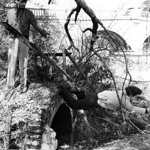 Lisa Harrow - Rotten Tomatoes