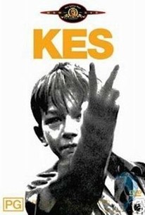 Kes | Rotten Tomatoes