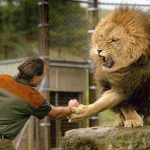 The Lion Man - Rotten Tomatoes