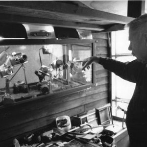 Magical Universe - Rotten Tomatoes