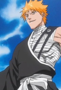 Bleach: Season 3, Episode 14 | Rotten Tomatoes