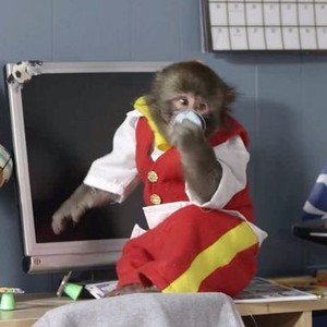 Monkey in the Middle - Rotten Tomatoes