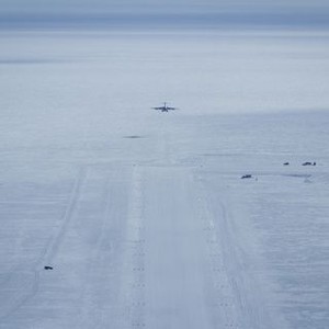 Antarctica: A Year on Ice - Rotten Tomatoes