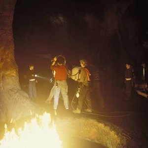 Reign of Fire - Rotten Tomatoes