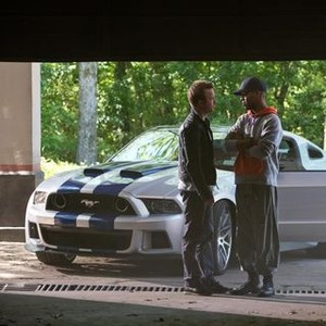 Need for Speed - Rotten Tomatoes