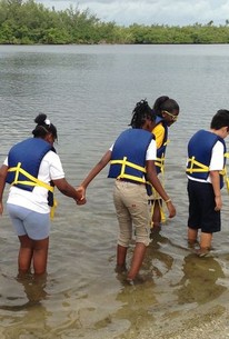 Fish Tank Kings: Season 3, Episode 6 | Rotten Tomatoes