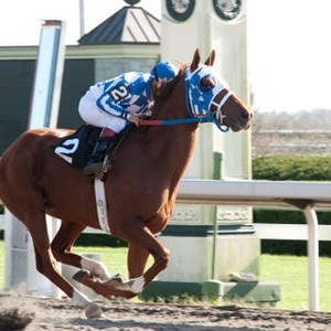 Secretariat - Rotten Tomatoes