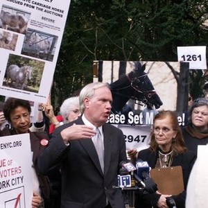 Blinders - Rotten Tomatoes