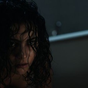 The Free Fall - Rotten Tomatoes