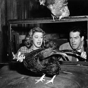 Helen Walker - Rotten Tomatoes