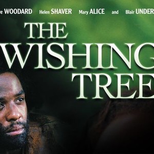 The Wishing Tree - Rotten Tomatoes