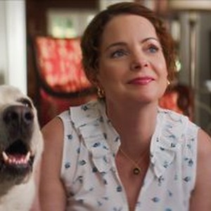 Dog Gone - Rotten Tomatoes