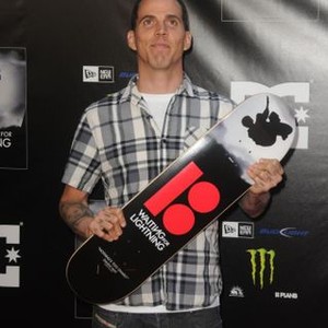 Steve-O - Rotten Tomatoes