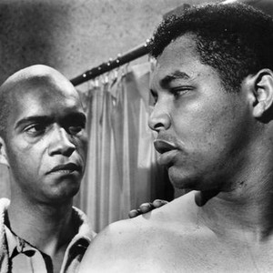 Coley Wallace - Rotten Tomatoes